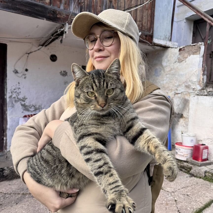 Котик в добрые руки мальчик