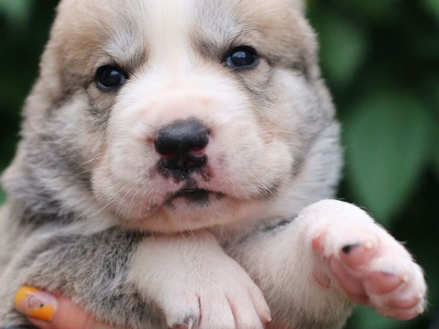 Такой один на миллион