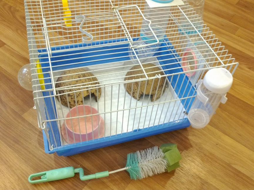 Клетка для хомячков