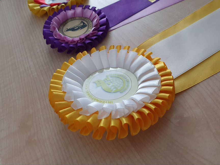 Наградные розетки для кошек