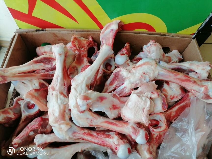 Мясо и кости для собак