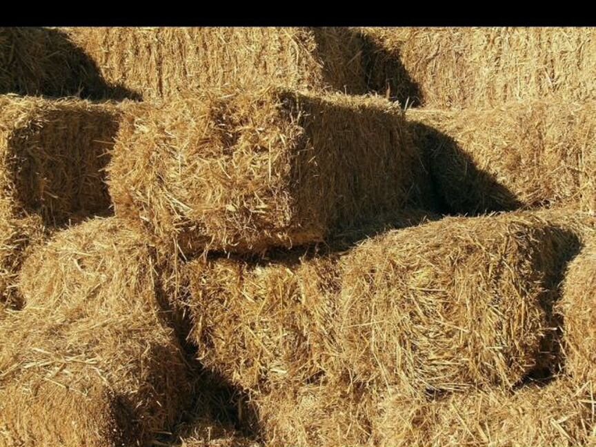 Солома в брикетах