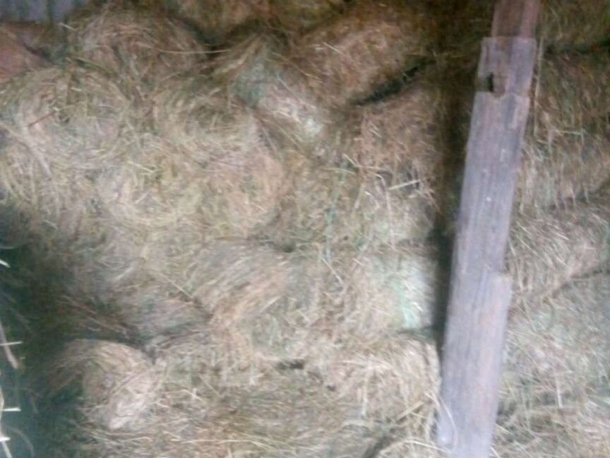 Сено в тюках