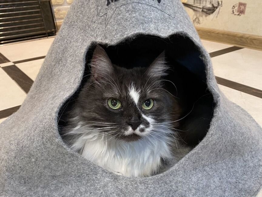 Кошкин дом когтеточка