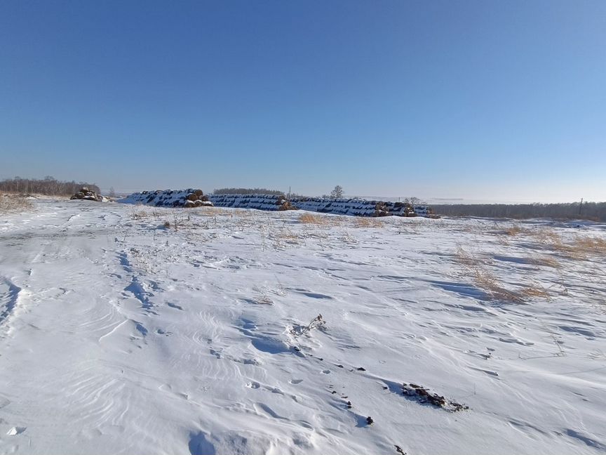 Сено в рулонах