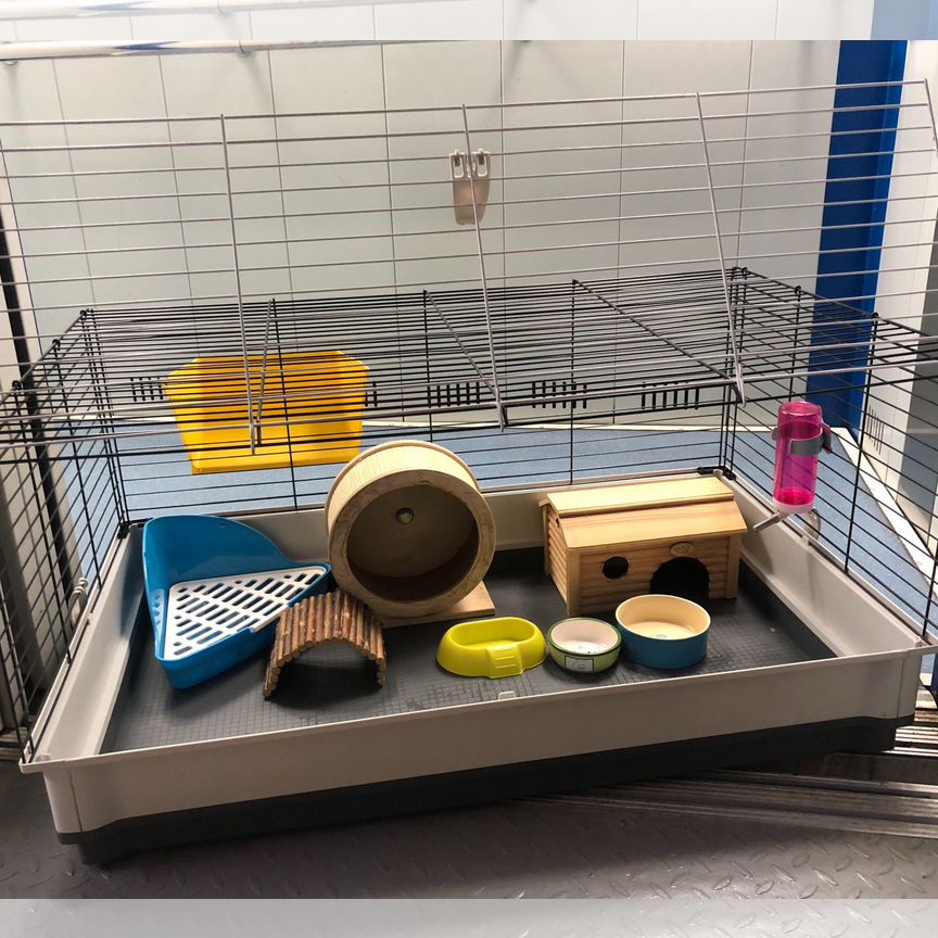 Большая клетка для морской свинки ежа кролика