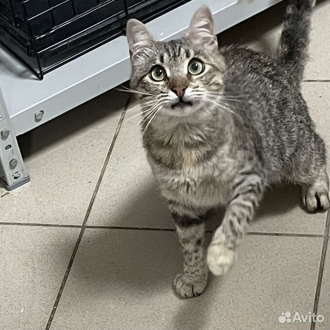 Малышка на миллион