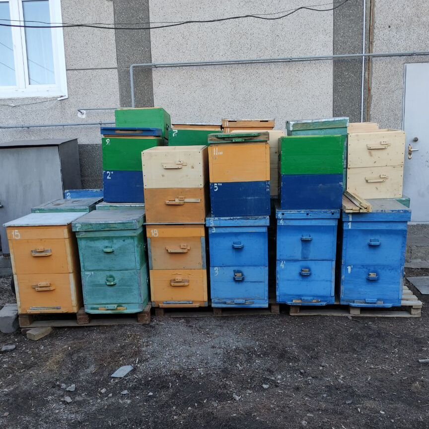 Продам ульи для пчел