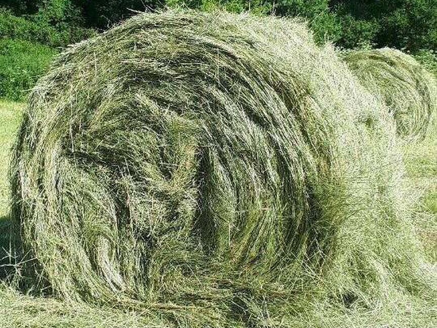 Сено в рулонах
