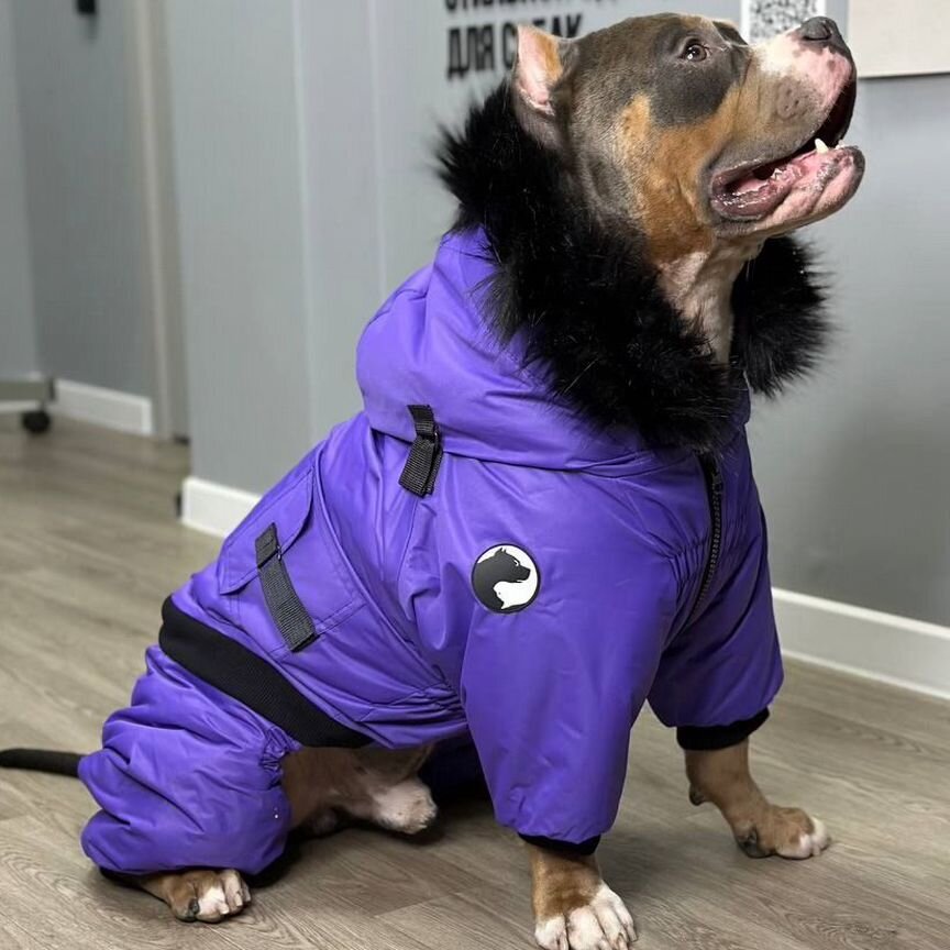 Зимний комбинезон для собаки