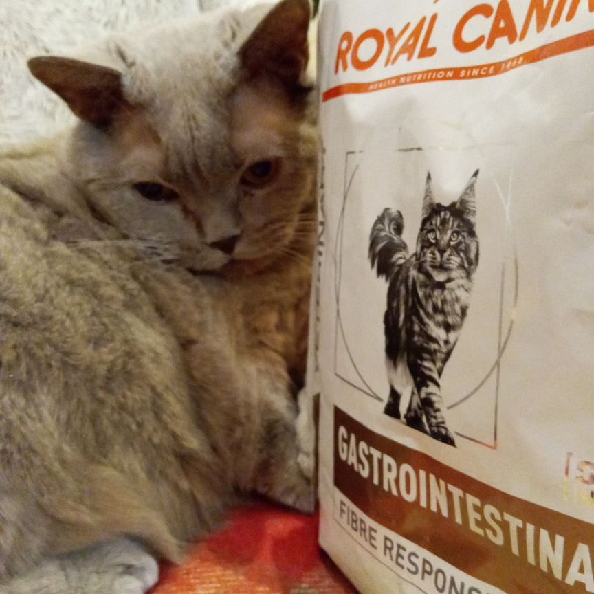 Royal Canin Gastrointestinal Fibre для кошек
