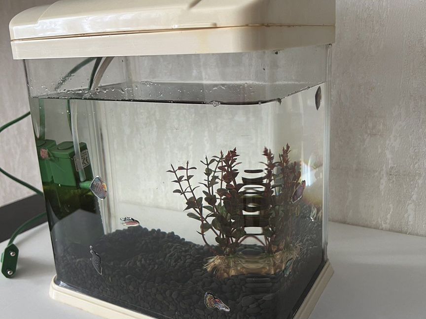 Настольный мини-аквариум для рыбок