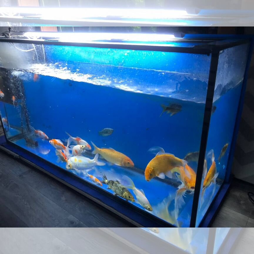 Аквариум 500 литров