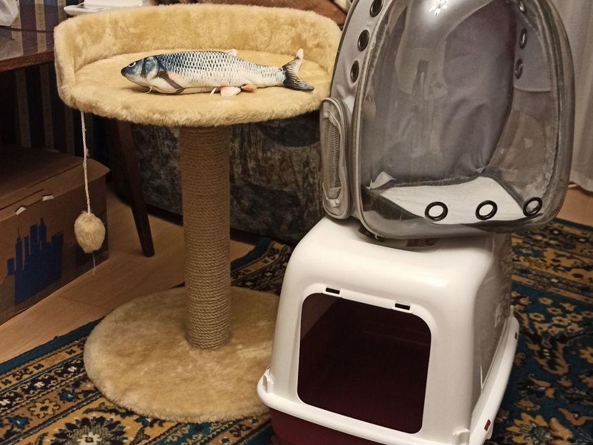 Когтеточка, переноска рюкзак, туалет домик