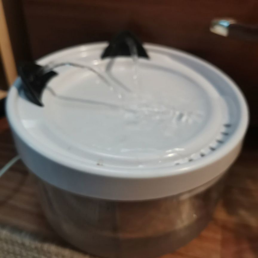 Предлагаю поилку для кошек