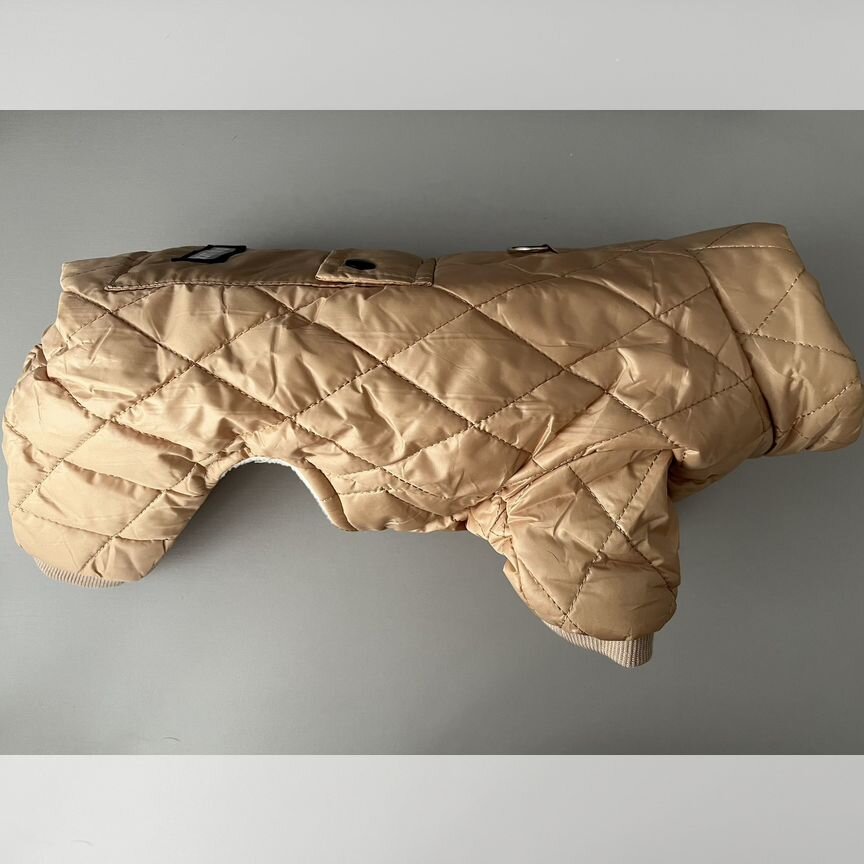 Одежда для собак