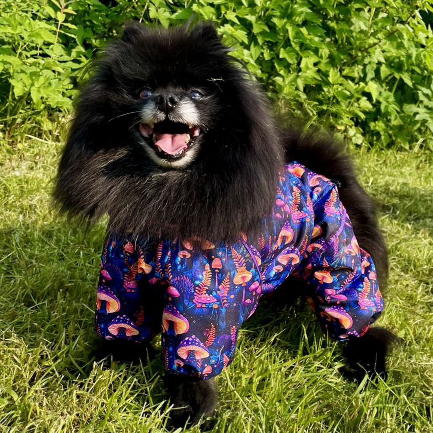 Одежда для собак по индивидуальным меркам