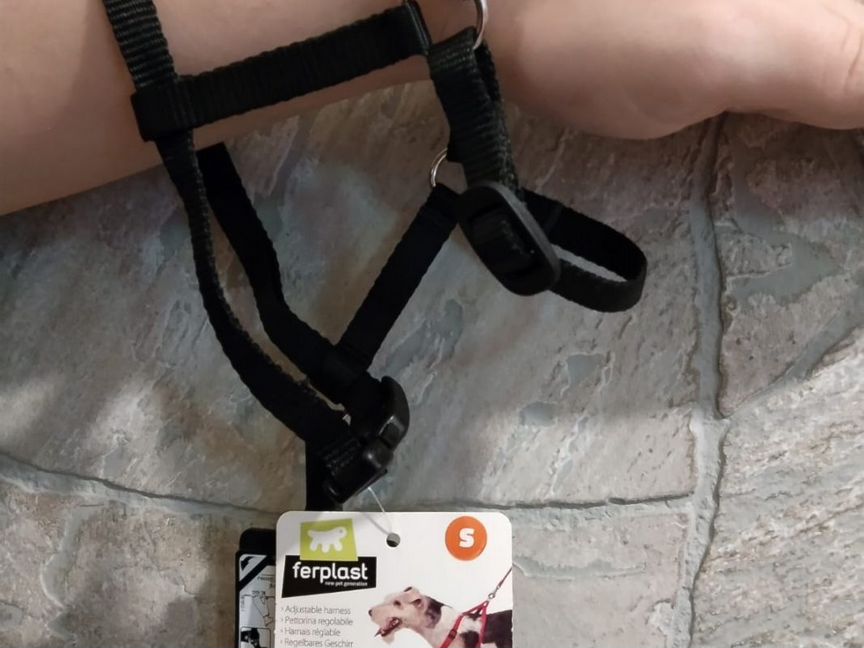 Шлейка Ferplast S черная