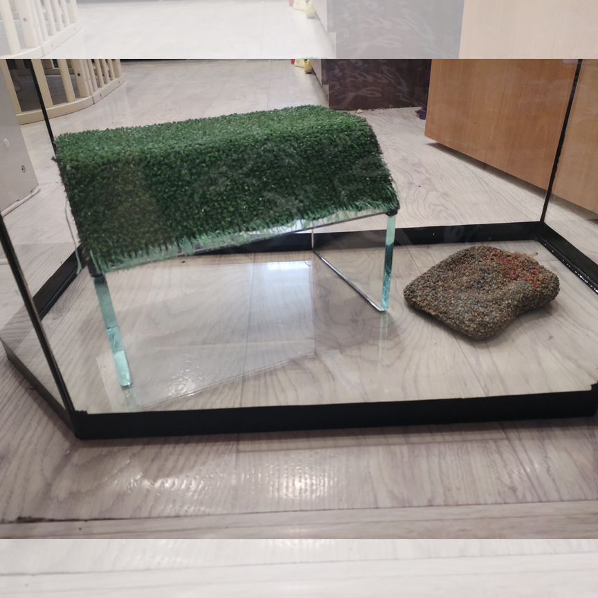 Аквариум террариум