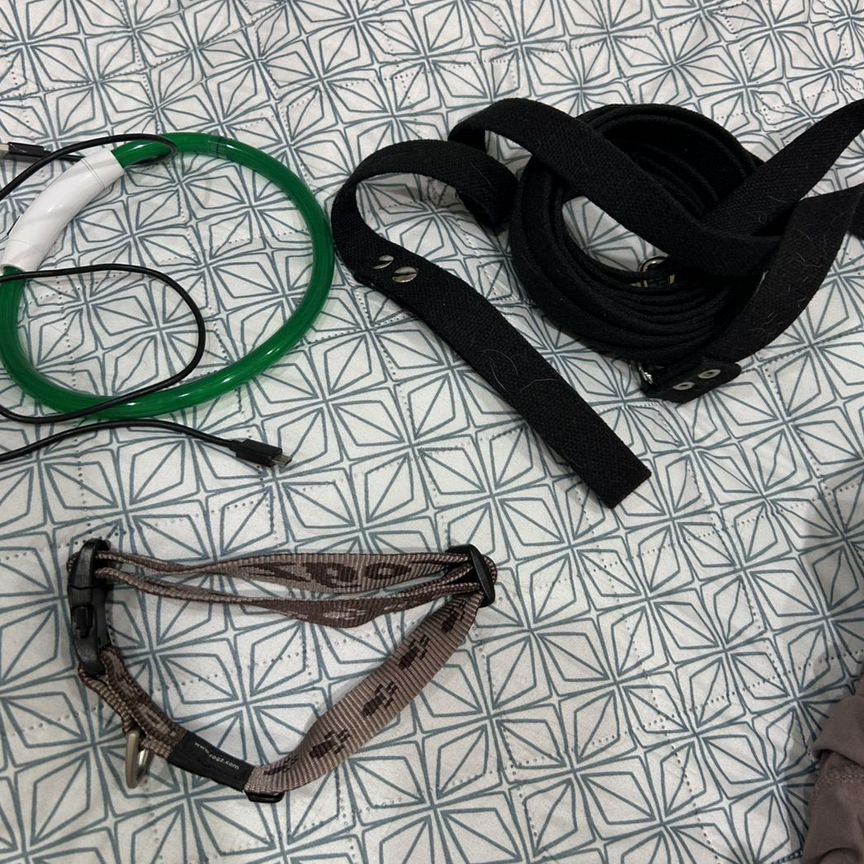 Ошейник, поводок