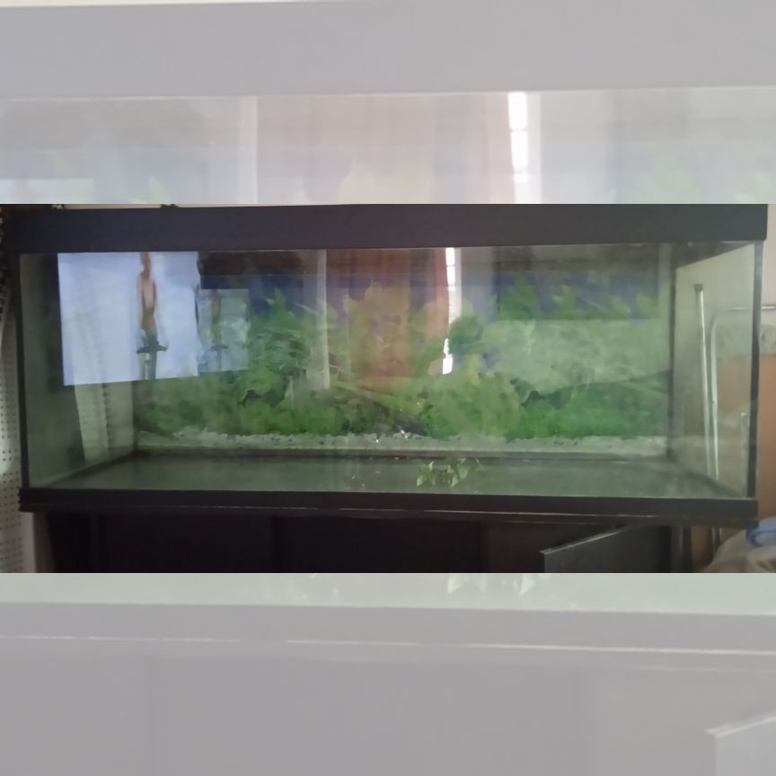 Аквариум на 400 литров