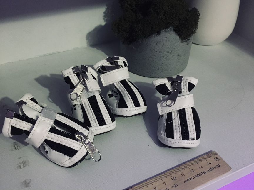 Кеды для собак