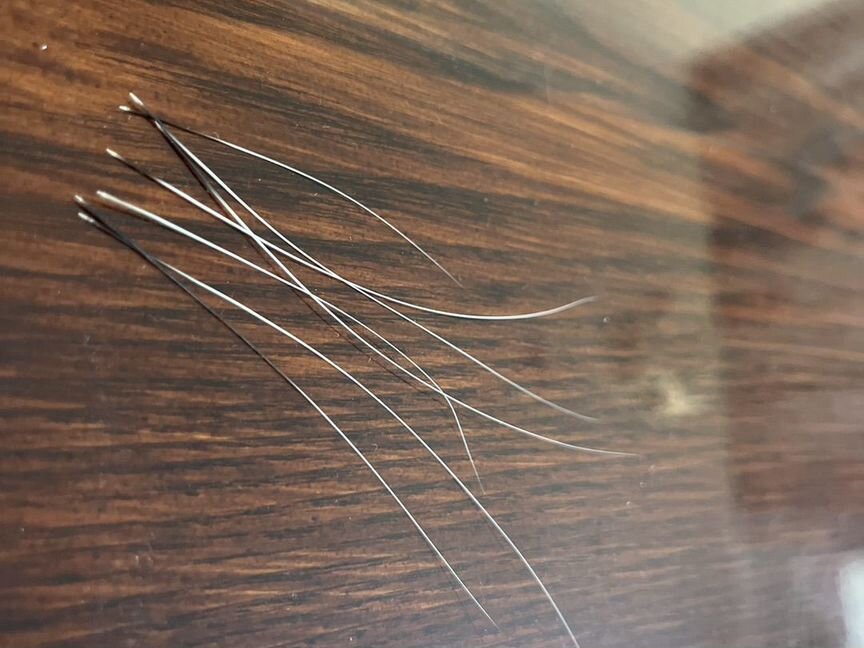 Кошачьи усы