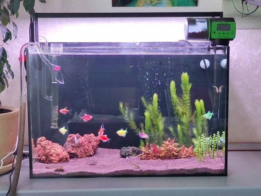 Аквариум 70л