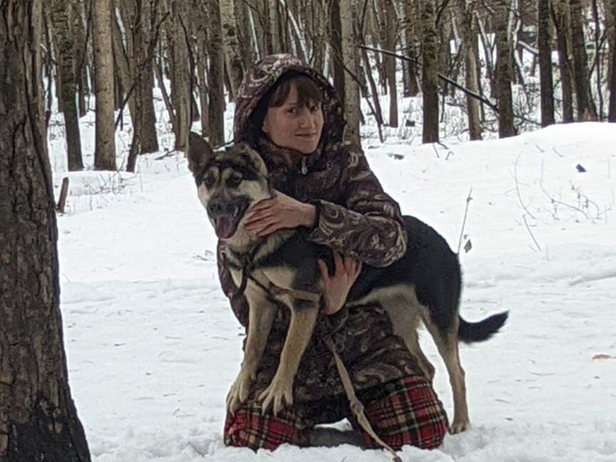 Щенята в добрые руки