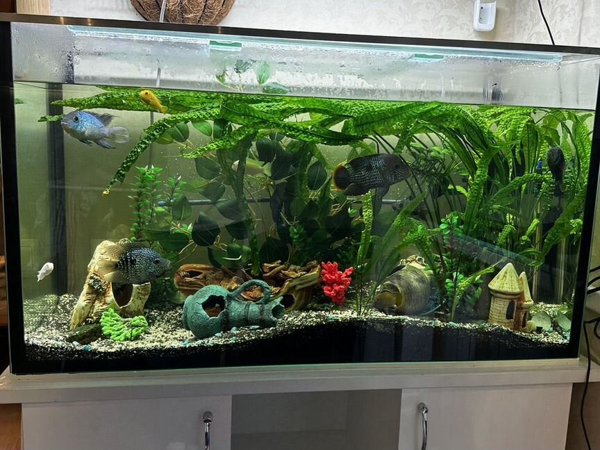 Аквариум на 220 литров