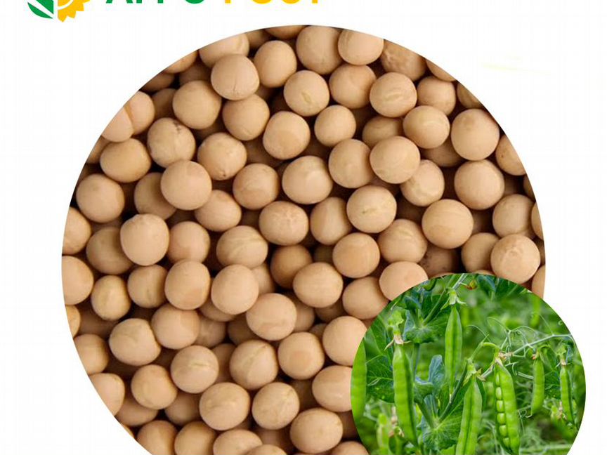 Семенной горох