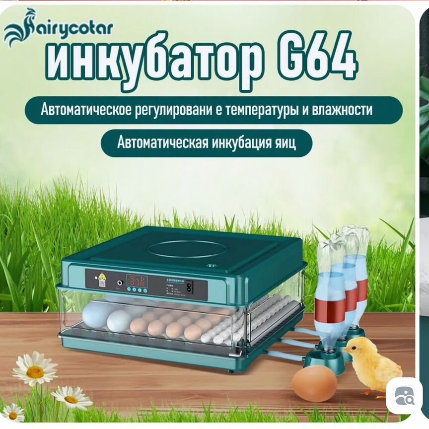 Инкубатор для яиц автоматический переворот 64 яйца