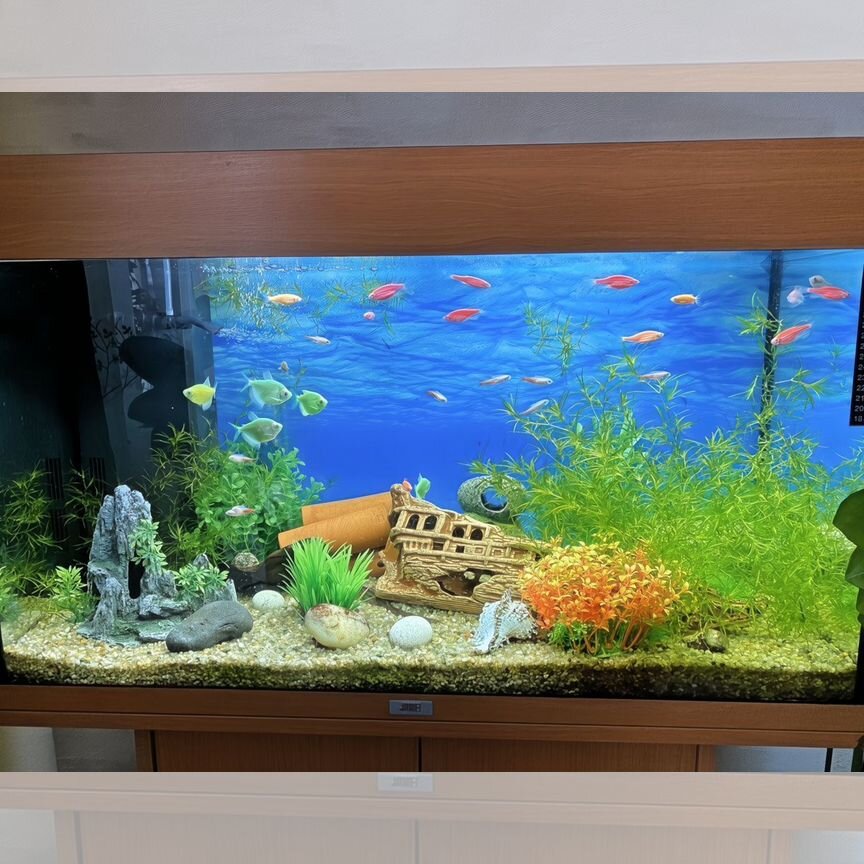 Аквариум с тумбой juwel