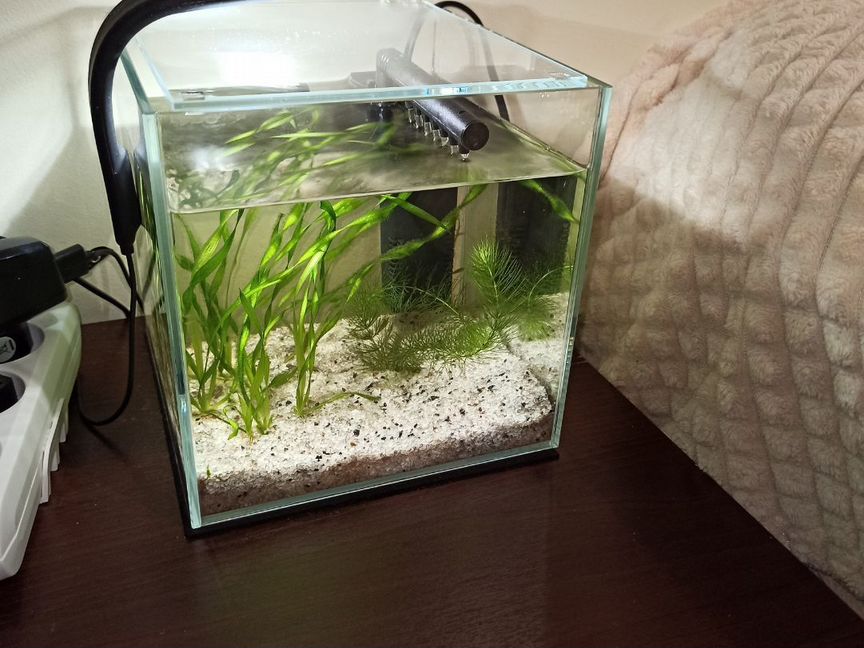 Аквариум cube 5 л
