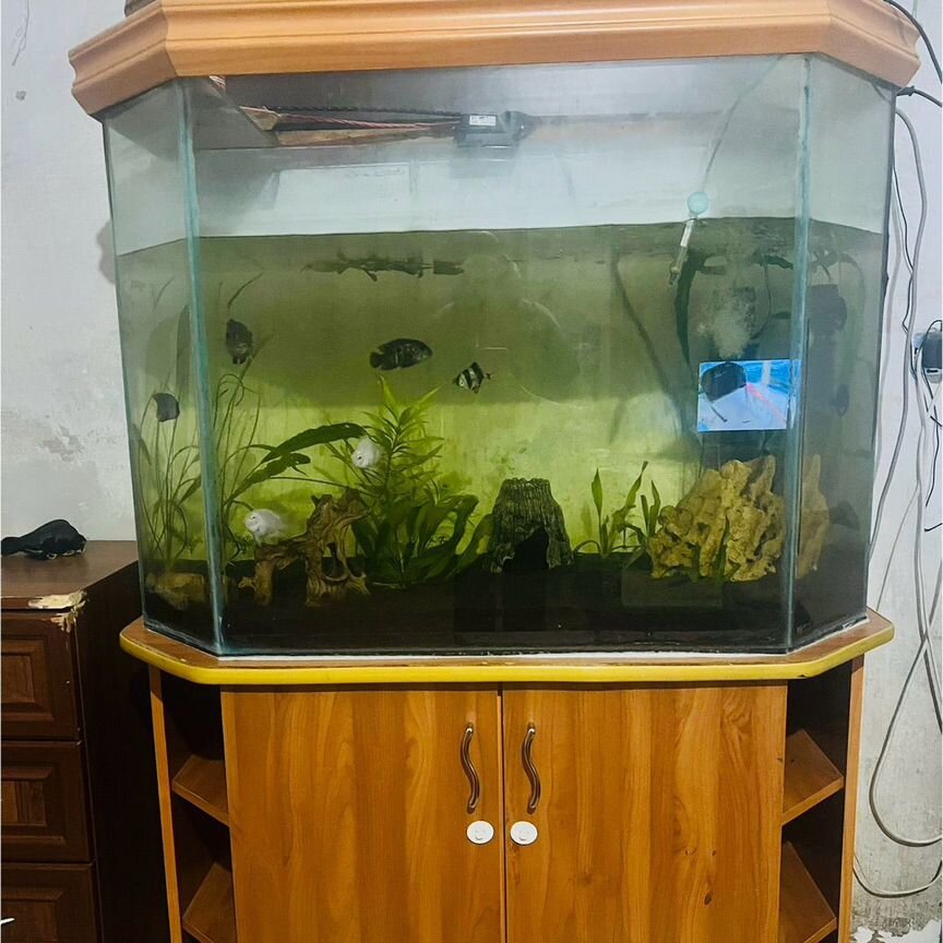 Аквариум с тумбой 380 литров
