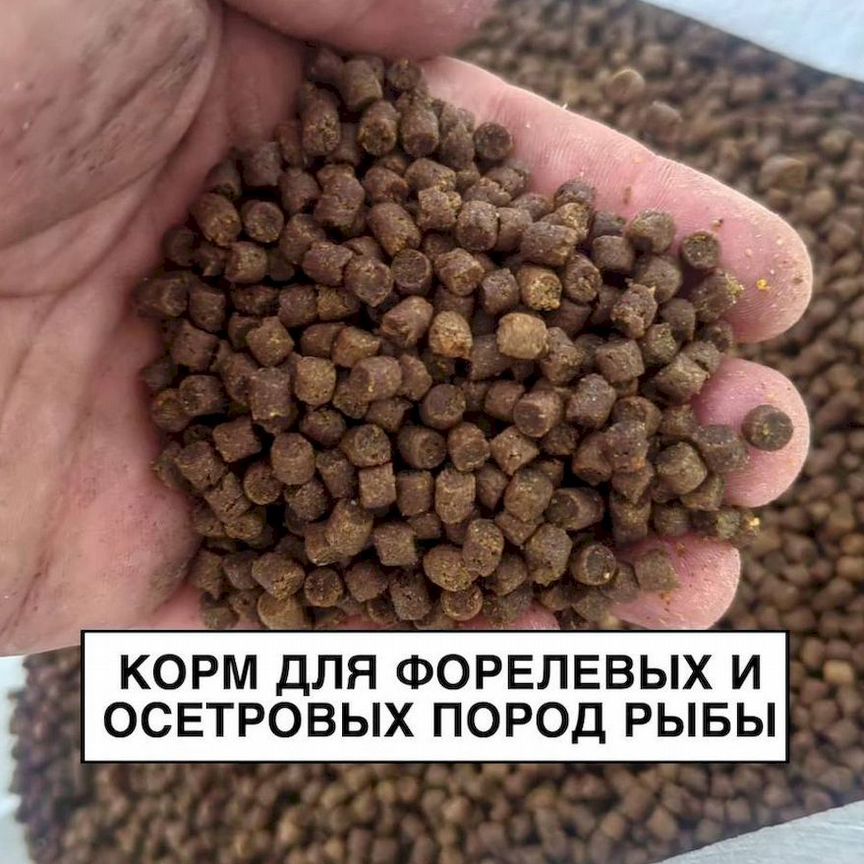 Корм для рыб