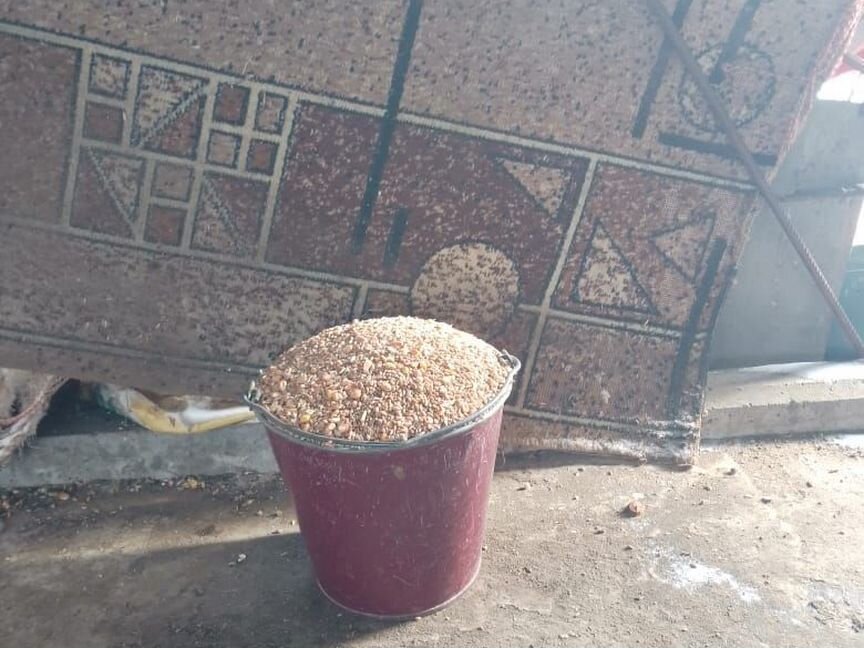 Зерносмесь