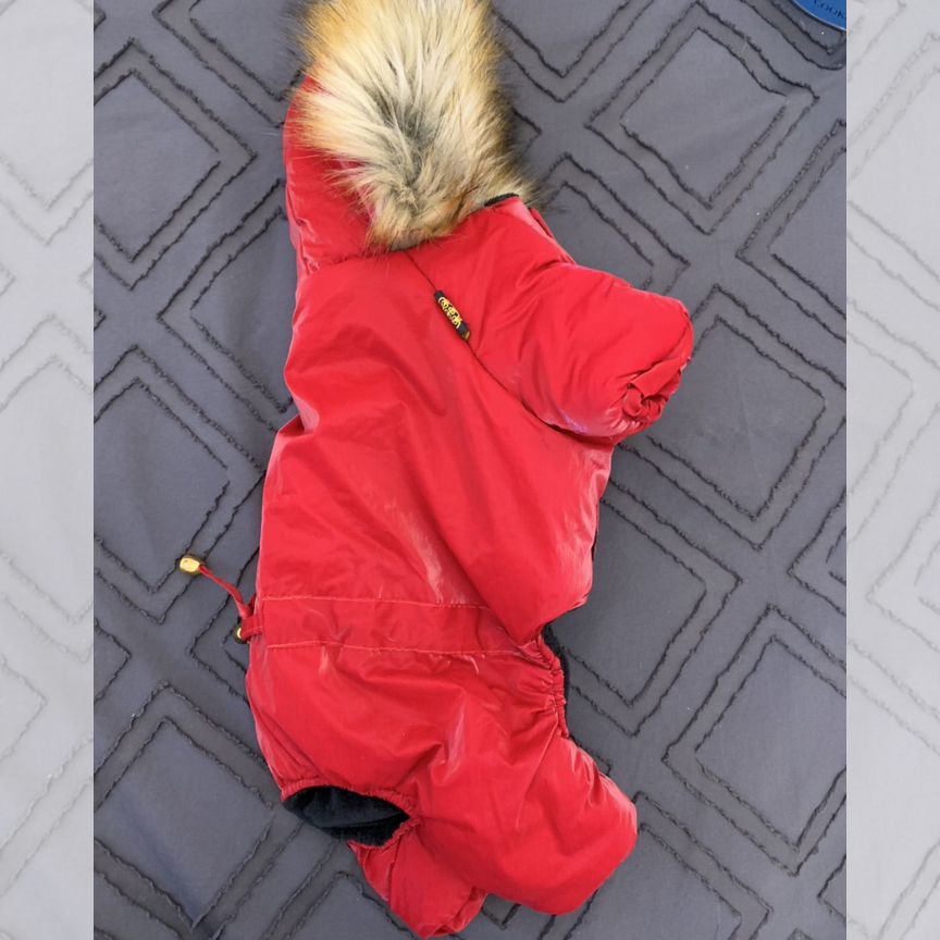 Комбинезон для маленькой собачки