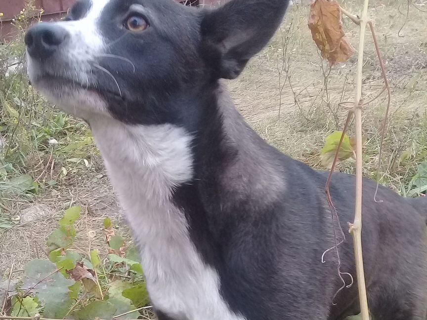 Хочет быть самой любимой