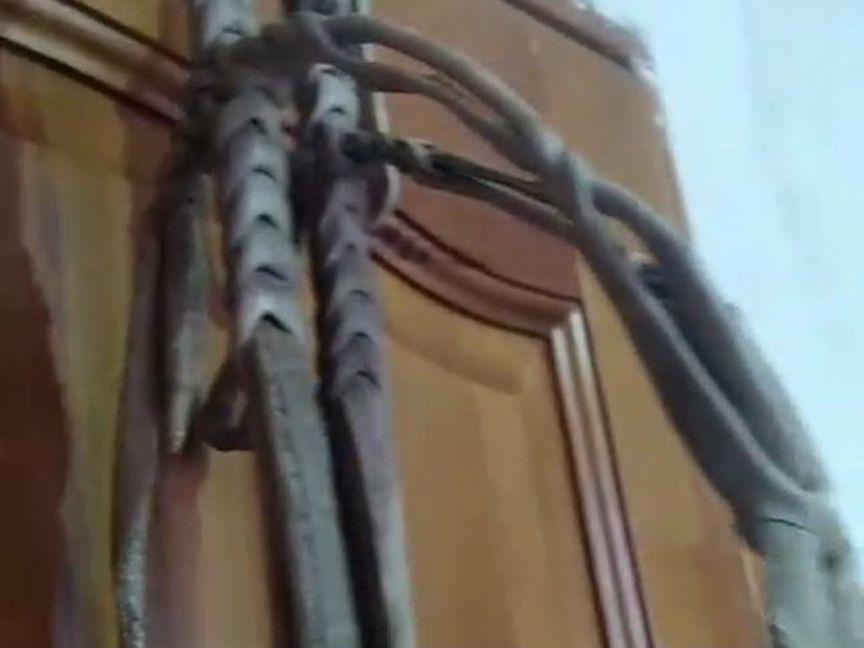 Аланская уздечко