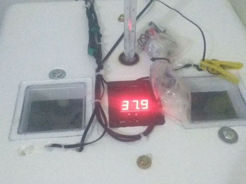 Ремонт инкубаторов