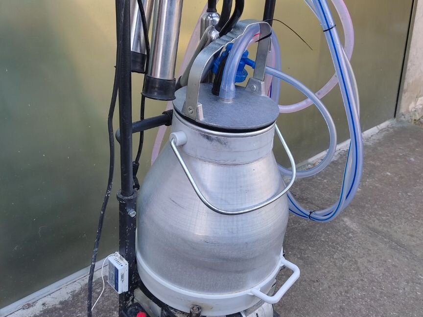 Доильный аппарат для коров