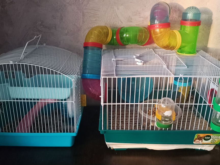 Клетка для джунгарского хомяка