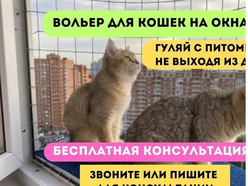Балкончик для кошек/выгул