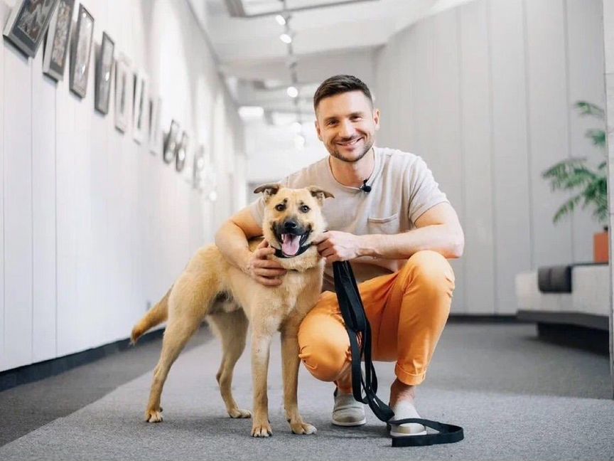 Собака Архыз из приюта в добрые руки бесплатно