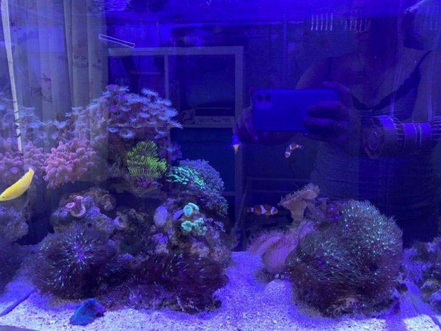 Морской аквариум