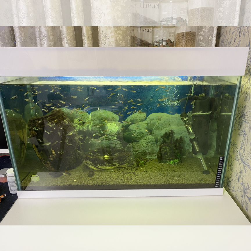 Аквариум с рыбками