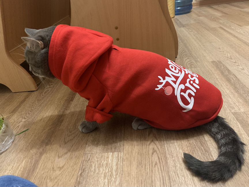 Толстовка для собак