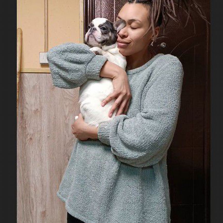 Французский бульдог, щенок