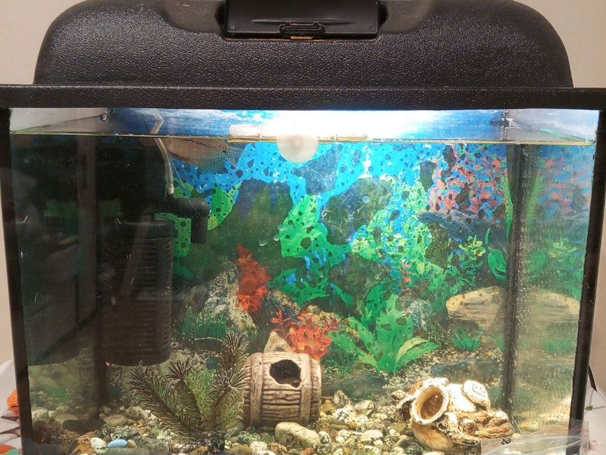 Аквариум с рыбками